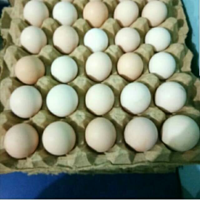 Jual Telur ayam kampung / Asli peliharaan sendiri / 1 papan | Shopee ...
