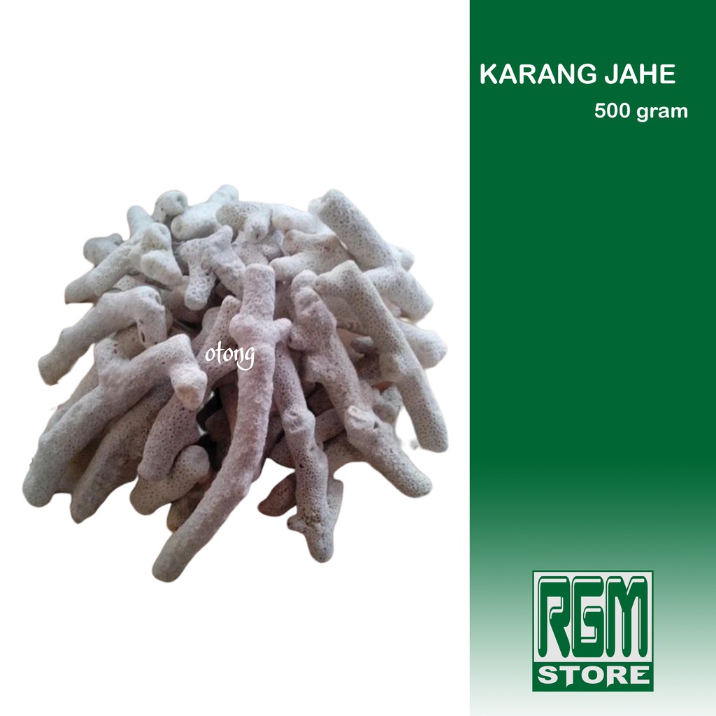 Jual ( 1 KG ) Batu karang jahe media filter ph air dekorasi hiasan ...