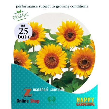 Jual Bibit Bunga Matahari Sunsmile Benih Mudah Tumbuh Gratis Ongkir ...