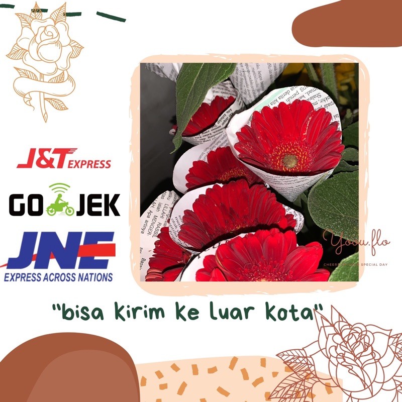 Jual Bunga segar bandung/bunga mawar segar/tanaman mawar/bunga mawar ...