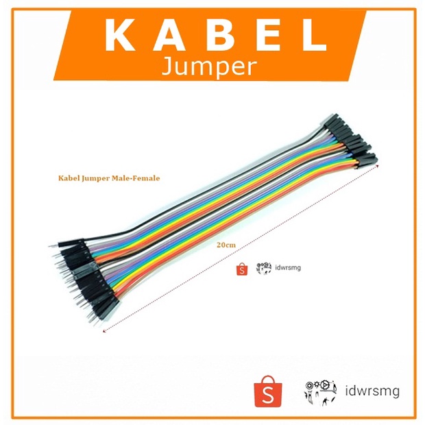Jual Kabel Jumper Dupont Male to Female 20cm Breadboard Cable 10pcs ...