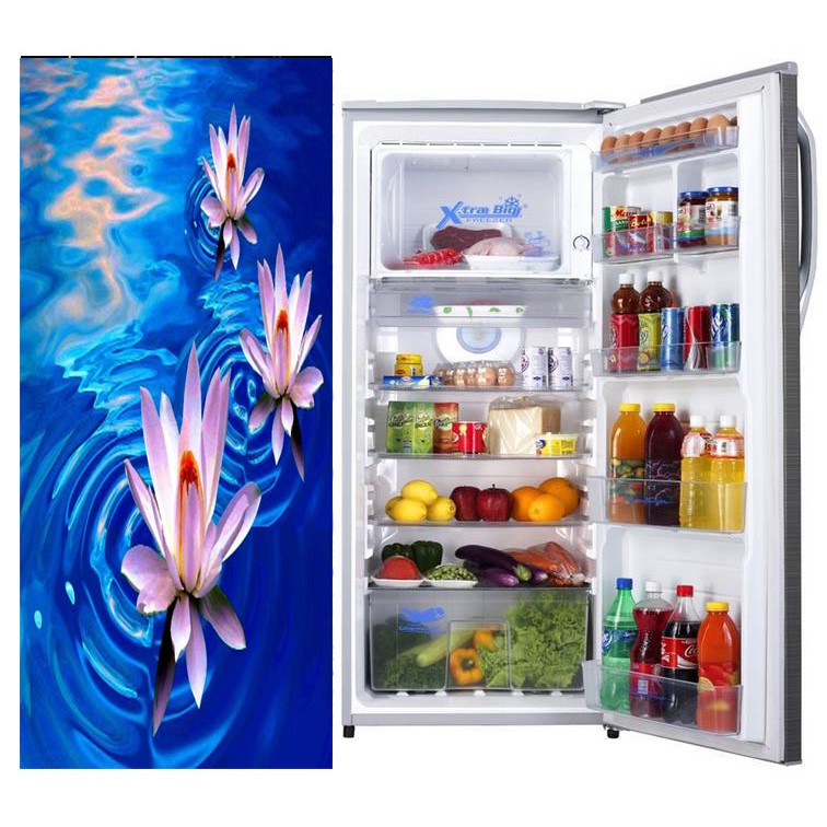 Jual stiker kulkas bunga teratai | Shopee Indonesia