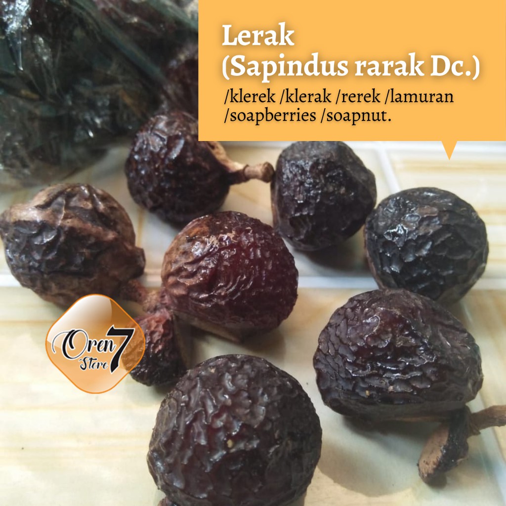 Jual 1000gr Buah Lerak Biji / Soapnuts | Shopee Indonesia