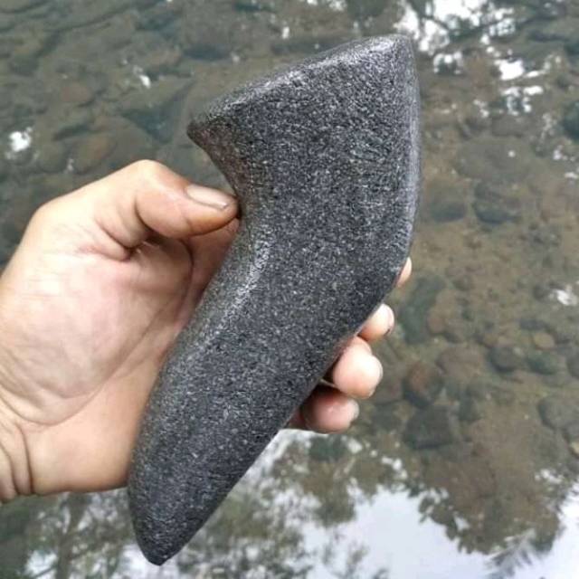 Jual ULEKAN MUNTU MUNTHU BATU/ agak besaran | Shopee Indonesia