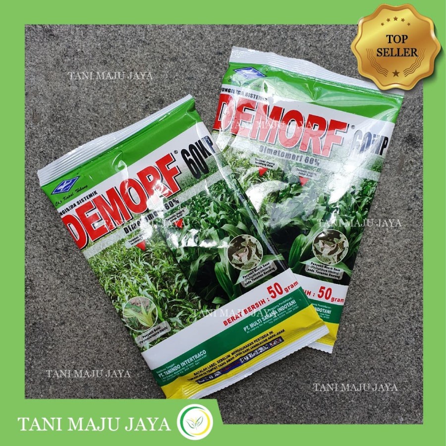 Jual Fungisida Demorf 60WP 50 gr Obat Anti Bulai Jagung Jamur Tanaman ...