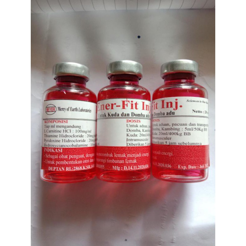 Jual ENERFIT 20 ml | Shopee Indonesia