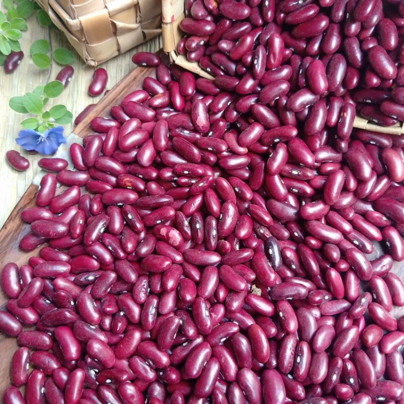 Jual kacang merah kering 1kg | Shopee Indonesia