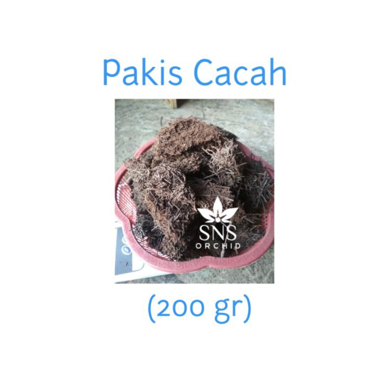 Jual media tanam pakis cacah 200 gram akar pakis kotak bongkah bunga ...