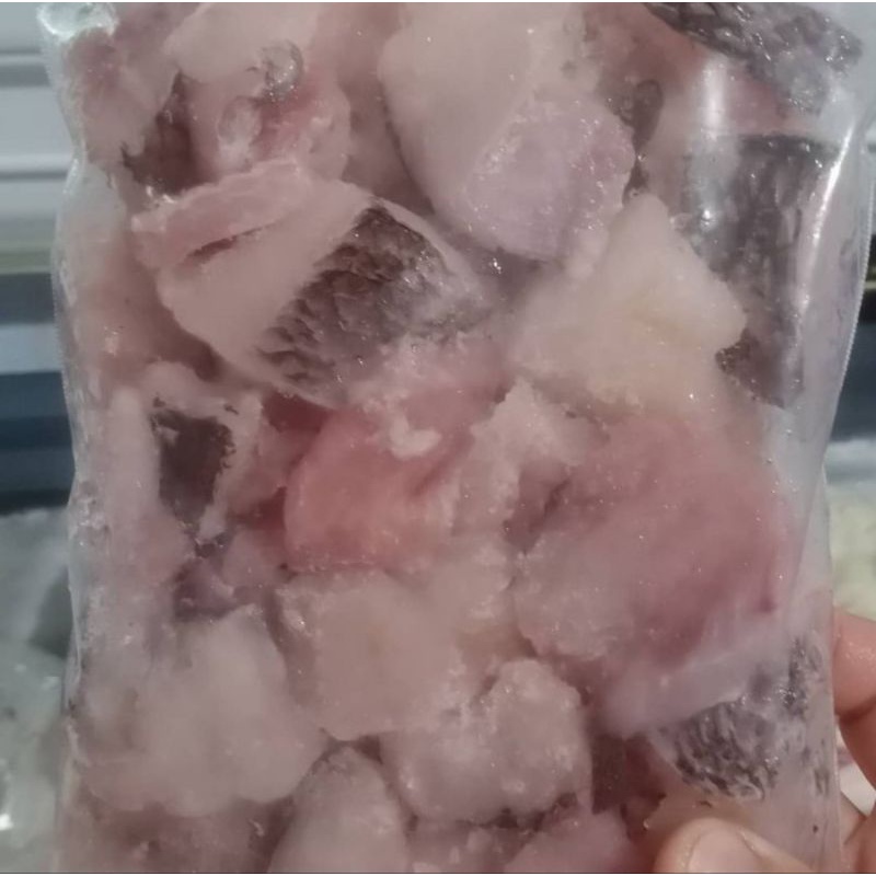 Jual Ikan Gabus Fillet Slice 500gram | Shopee Indonesia