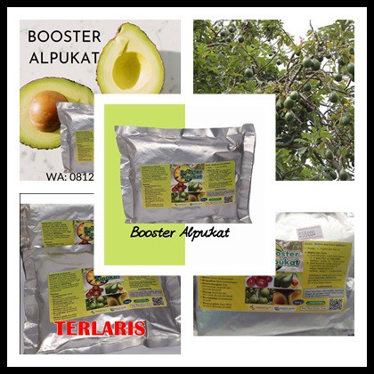 Jual Pupuk Organik Alpokat BOOSTER ALPUKAT kuwalitas TERBAIK | Shopee ...