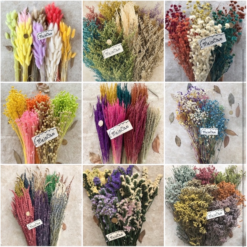 Jual (100gr/50 tangkai) GROSIR Baby Breath Preserved Gypsophila Dried ...