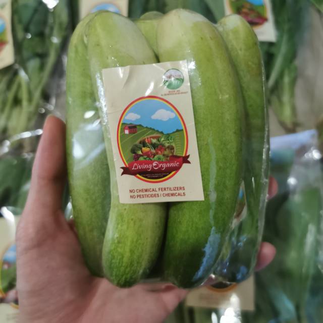 Jual Timun Lokal Organik || Cucumber || 500gr || Sayuran Organic ...