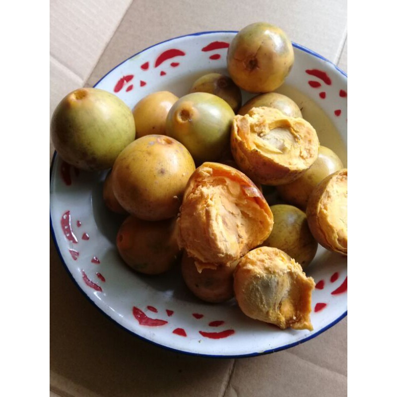 Jual Buah campolay fresh segar 1kg | Shopee Indonesia