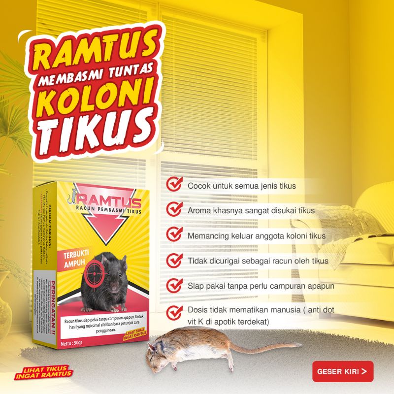 Jual Racun Obat Tikus Paling Ampuh Membasmi Tikus Mati Kering Tidak ...