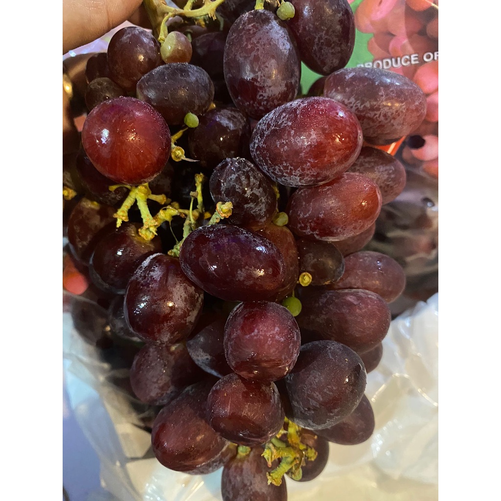 Jual Buah Anggur Merah Tanpa Biji 900 gram | Buah Anggur Merah Segar ...