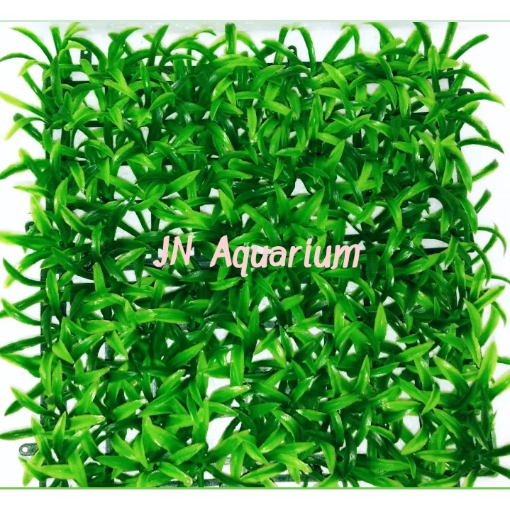Jual Rumput Aster / Rumput Aquarium / Rumput Hias Sintetis | Shopee ...