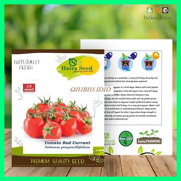 Jual -BENIH-BIBIT-TANAMAN- BENIH-BIBIT TOMAT CHERRY RED CURRANT (HAIRA ...