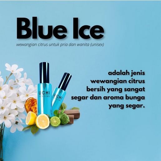 Jual SD - Blue Ice (Uchi Parfume) | Shopee Indonesia