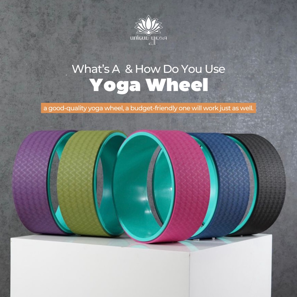 Jual YOGA WHEEL TPE / WHEEL YOGA / YOGA PROPS | Shopee Indonesia