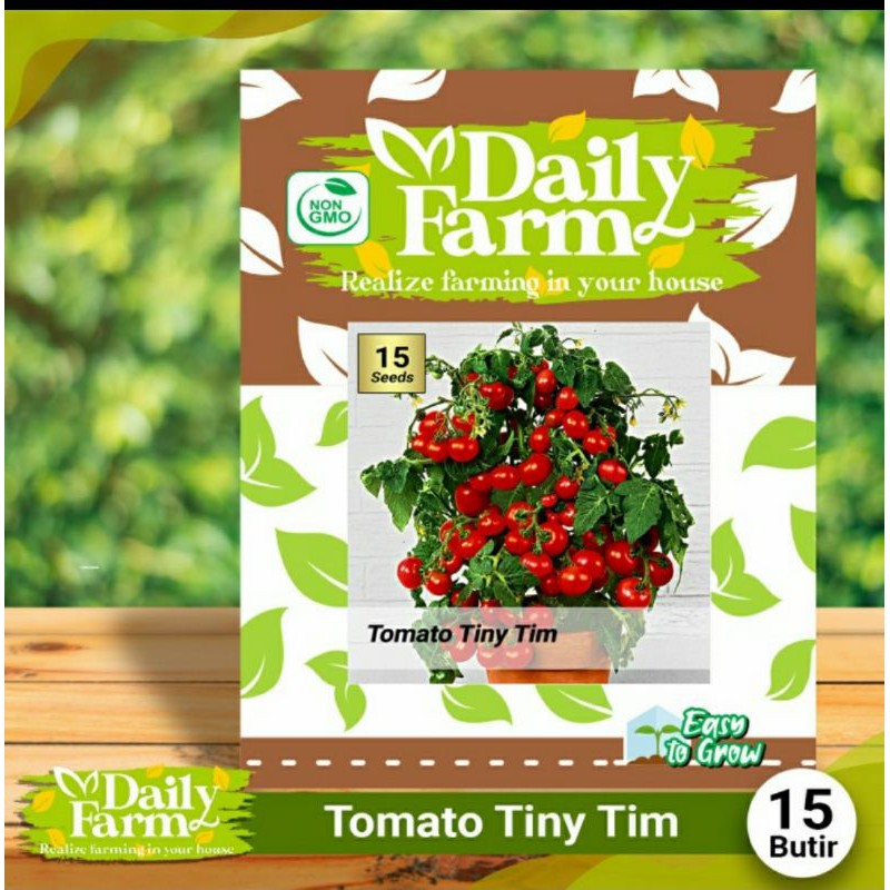 Jual Benih Tomato TINY TIM - Tomat Mini Buah Lebat - Daily Farm ...