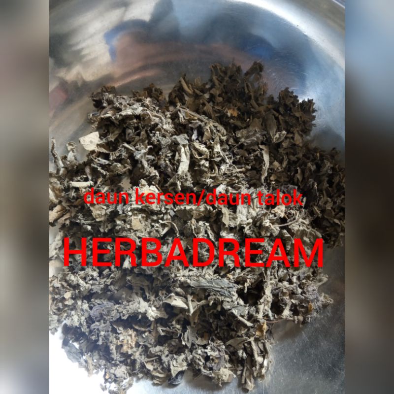 Jual 500 GRAM DAUN TALOK MUNTINGIA CALABURA KERSEN SERI CERI SINGAPORE ...