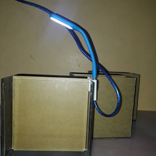Jual Akrilik soliter akuarium ikan cupang hias dll +lampu LED kabel USB ...