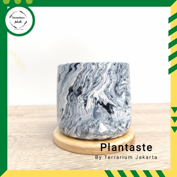 Jual Pot Semen - Terrarium Jakarta - Pot Sukulen Pot kecil - Marble ...