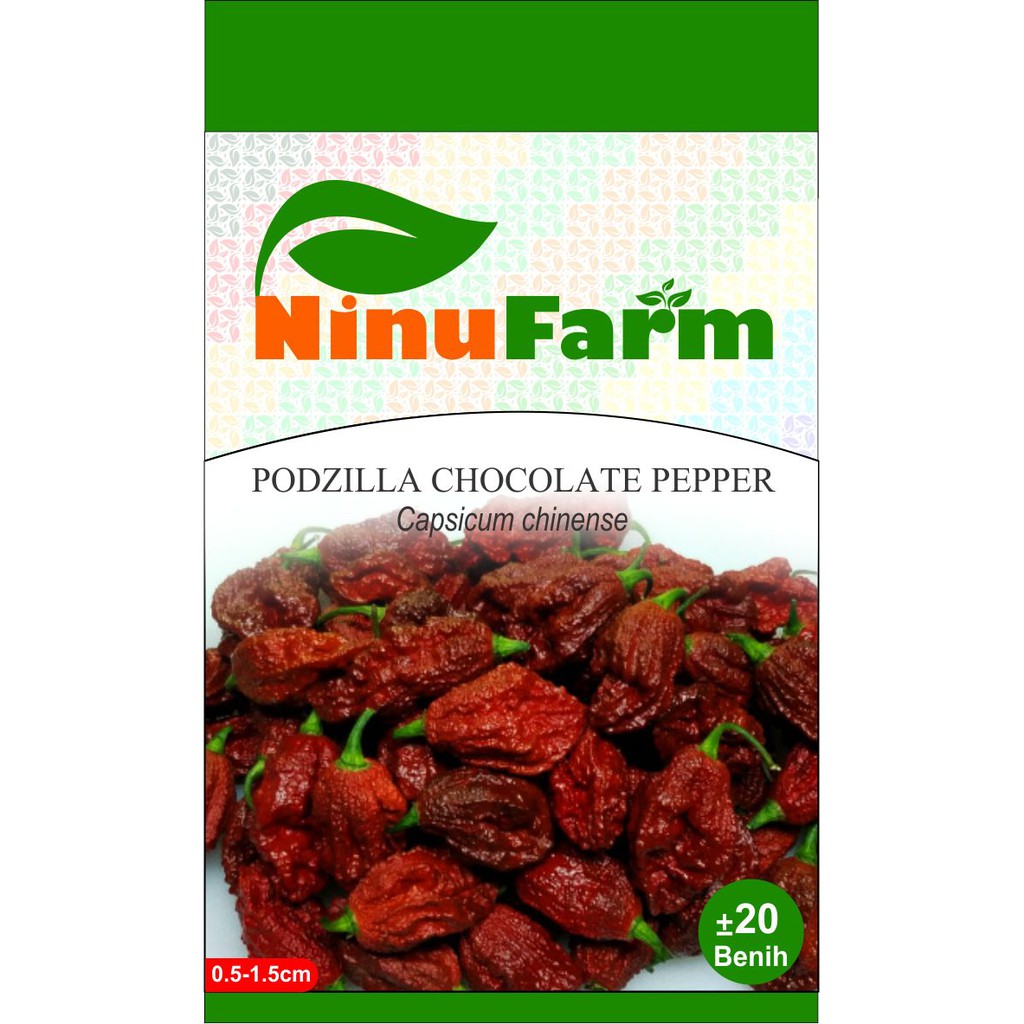 Jual Benih Podzilla Chocolate Pepper 20Seeds | Shopee Indonesia