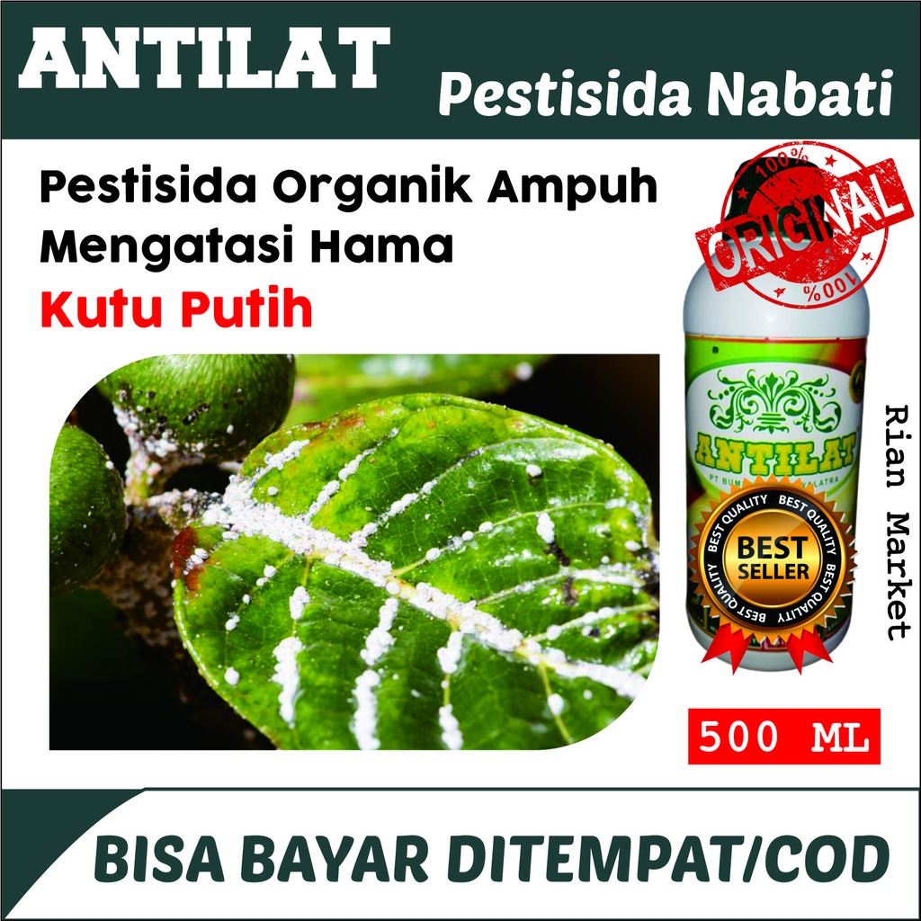 Jual ANTILAT 500 ML Pestisida Organik Ampuh Atasi Walang Sangit/Kungkang - Pupuk Organik Cair ...