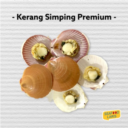 Jual KERANG SIMPING BERSIH PREMIUM 1KG | Shopee Indonesia