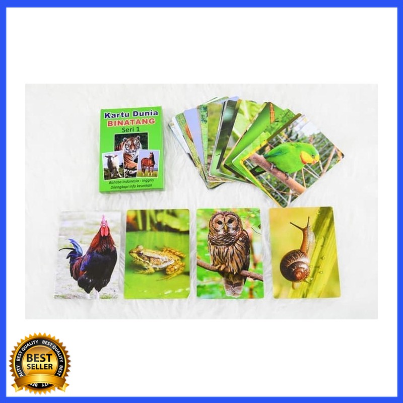 Jual Bagus Kartu Binatang Seri 1 - Flash Card Bayi Murah Hewan | Shopee ... Jual Bagus Kartu Binatang Seri 1 - Flash Card Bayi Murah Hewan | Shopee ...