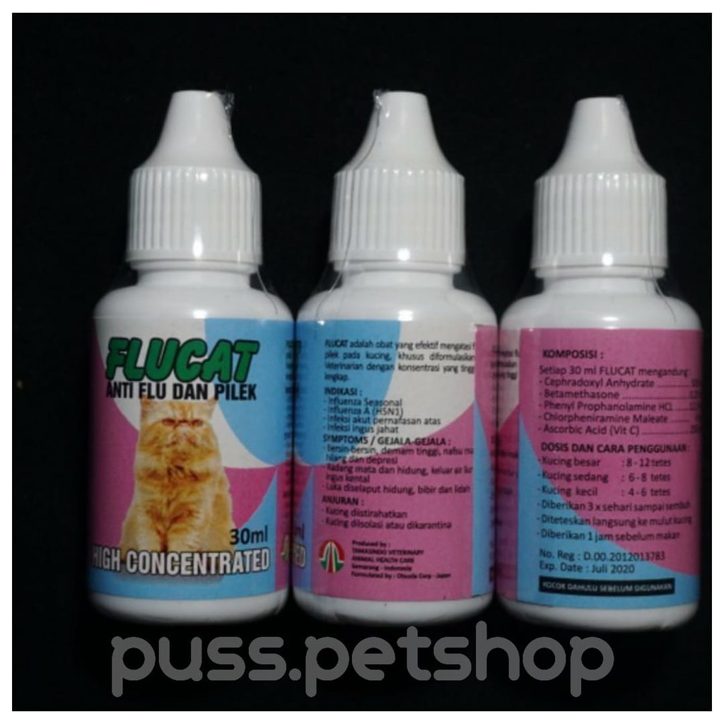 Jual Flucat / Obat Flu dan Pilek pada Kucing Obat Kucing Obat Flu ...
