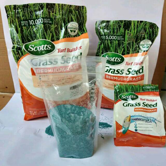 Jual PRODUK UNGGULAN biji rumput grass seed-bibit biji rumput swis ...