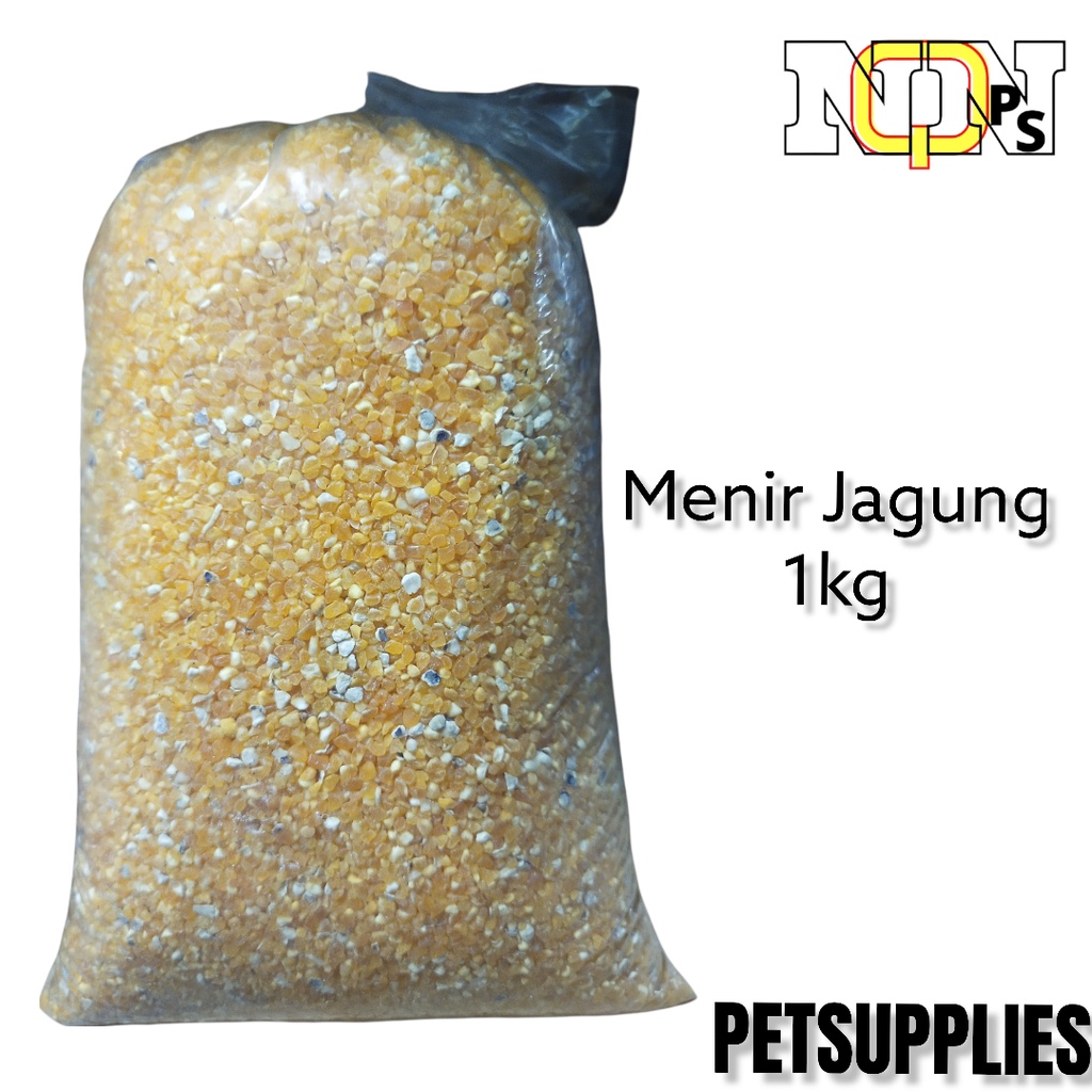 Jual Beras Menir Jagung Untuk pakan ayam bangkok burung 1kg | Shopee ...
