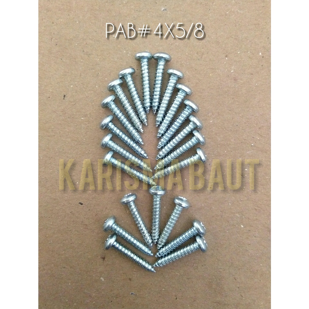 Jual Sekrup PAB #4X5/8 /skrup tapping P (obeng +) | Shopee Indonesia