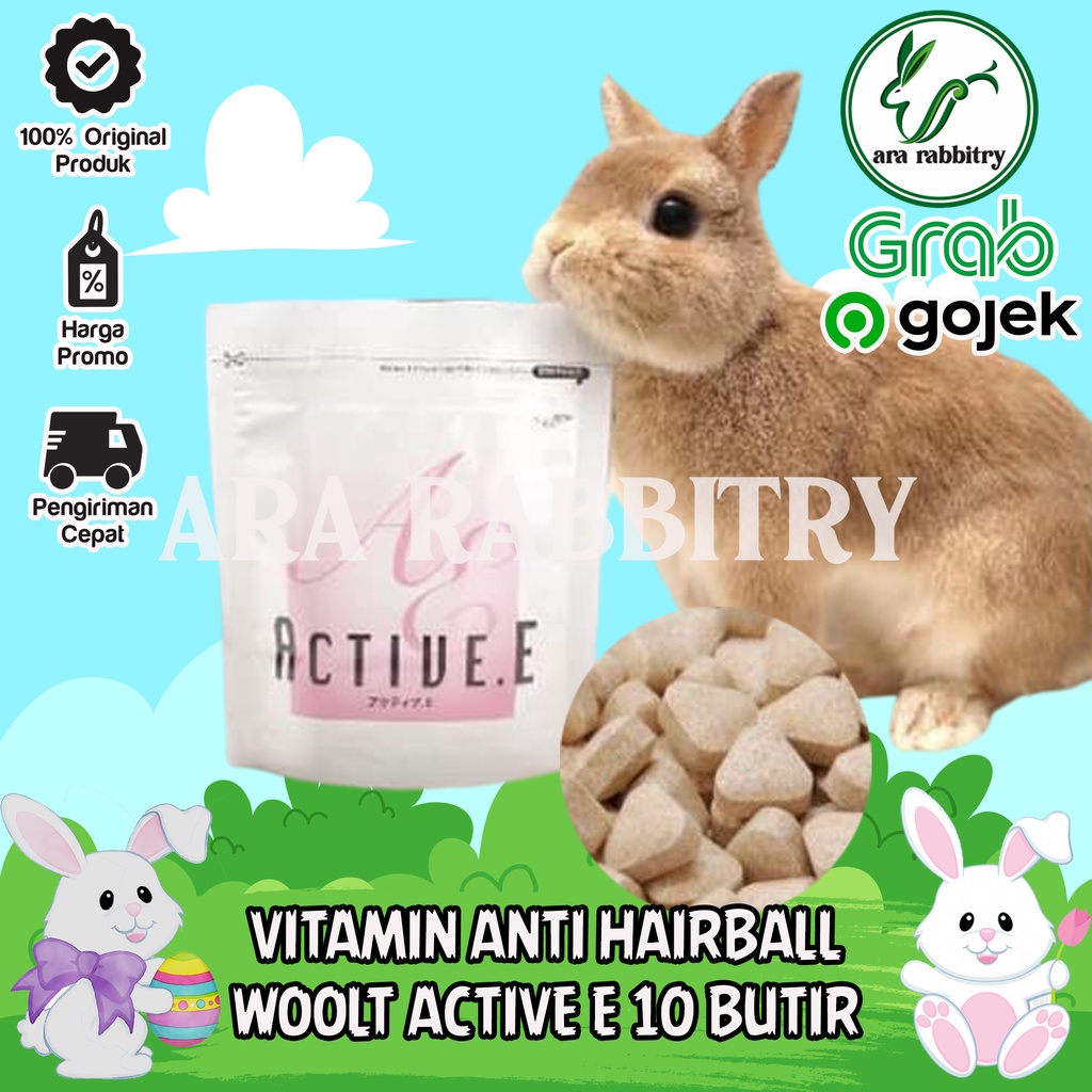 Jual VITAMIN OBAT ANTI HAIRBALL WOOLY ACTIVE E ISI 10 BUTIR | Shopee ...