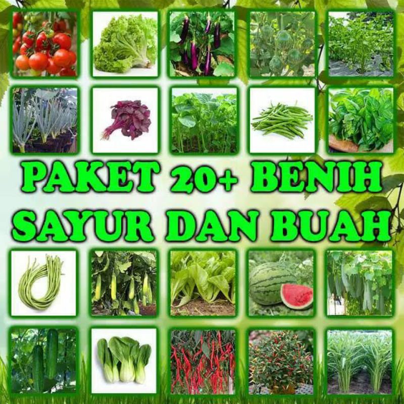Jual Benih / Bibit Paket 20 sayuran & Buah Bonus Polybag Semai. | Shopee Indonesia