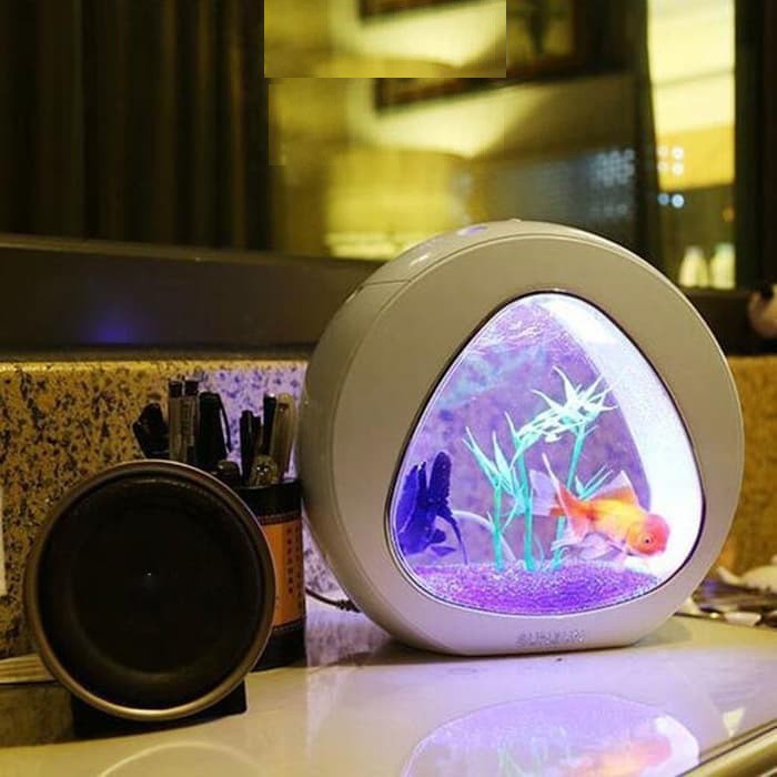 Jual Sunsun Jspoir Melodiz Portable Mini Desktop Aquarium Guppy LED YA ...