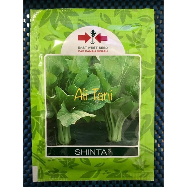 Jual SHINTA 25 Gram Benih/Bibit Sawi Manis/Caisim | Shopee Indonesia