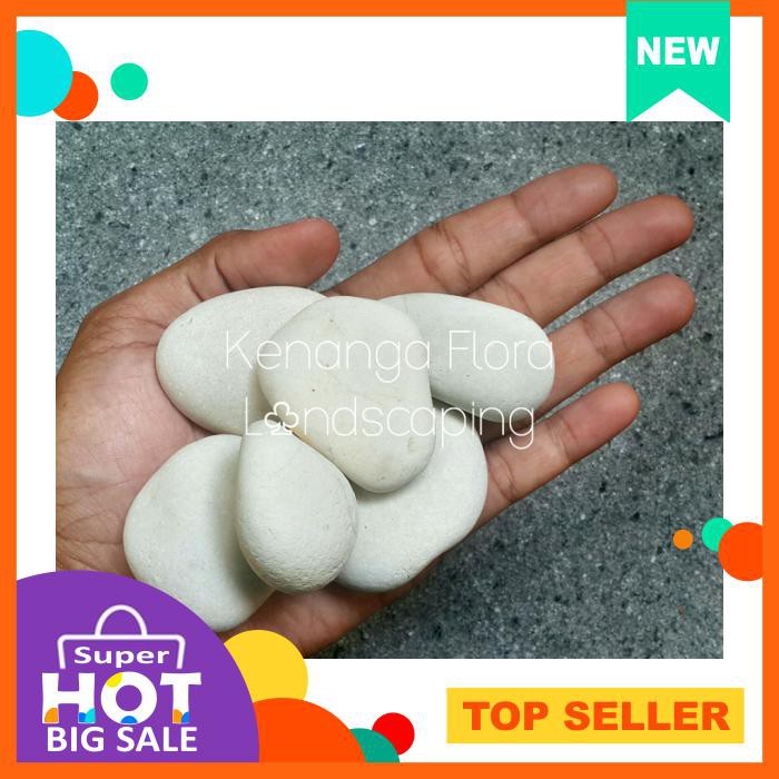 Jual Batu Koral Putih Kupang 13Kg M | Shopee Indonesia