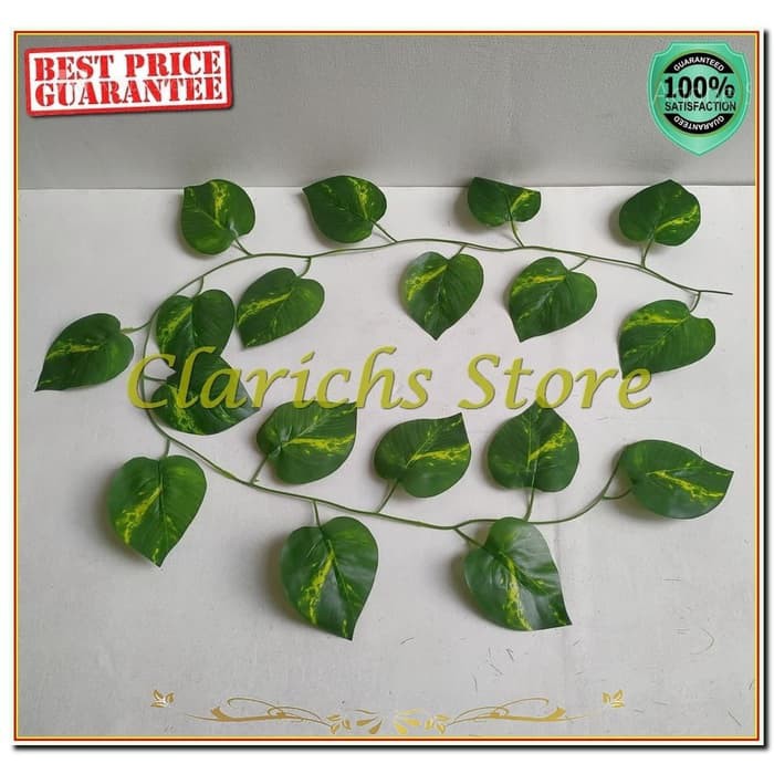 Jual Daun Rambat Photos Besar P.220cm - Hiasan Atap - Hiasan Tangga ...