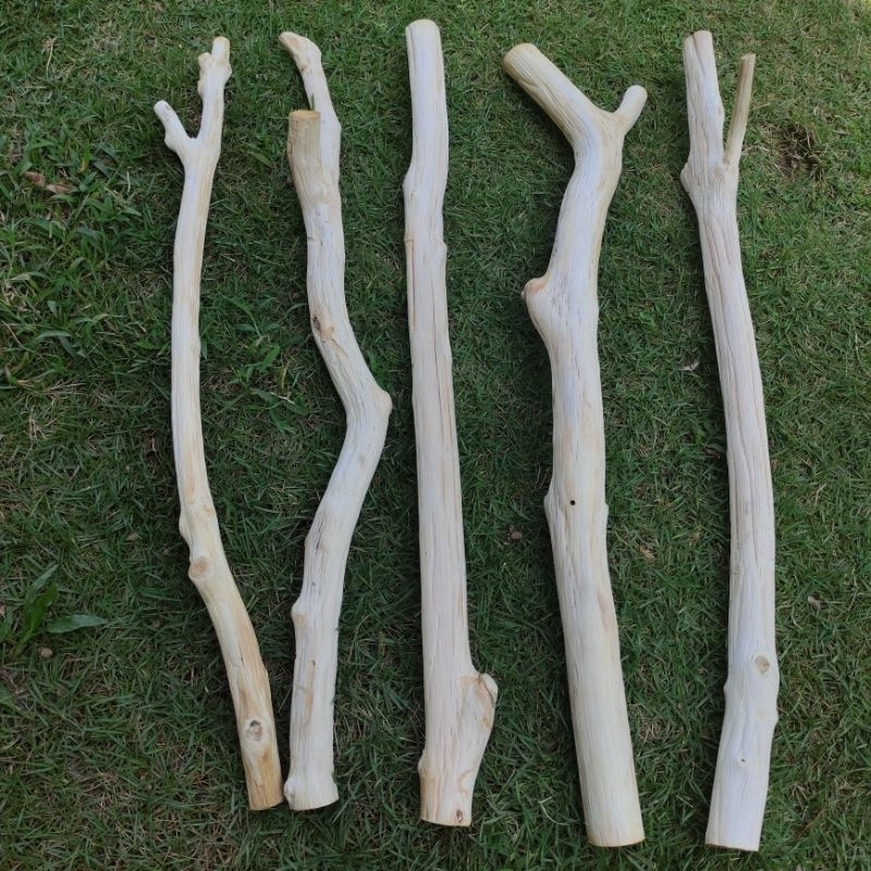 Jual Kayu Ranting Macrame/Casta Wood 50-120cm majab store | Shopee ...