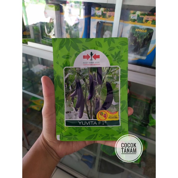 Jual Benih terong ungu YUVITA F1 - Panah merah 1.100btr | Shopee Indonesia