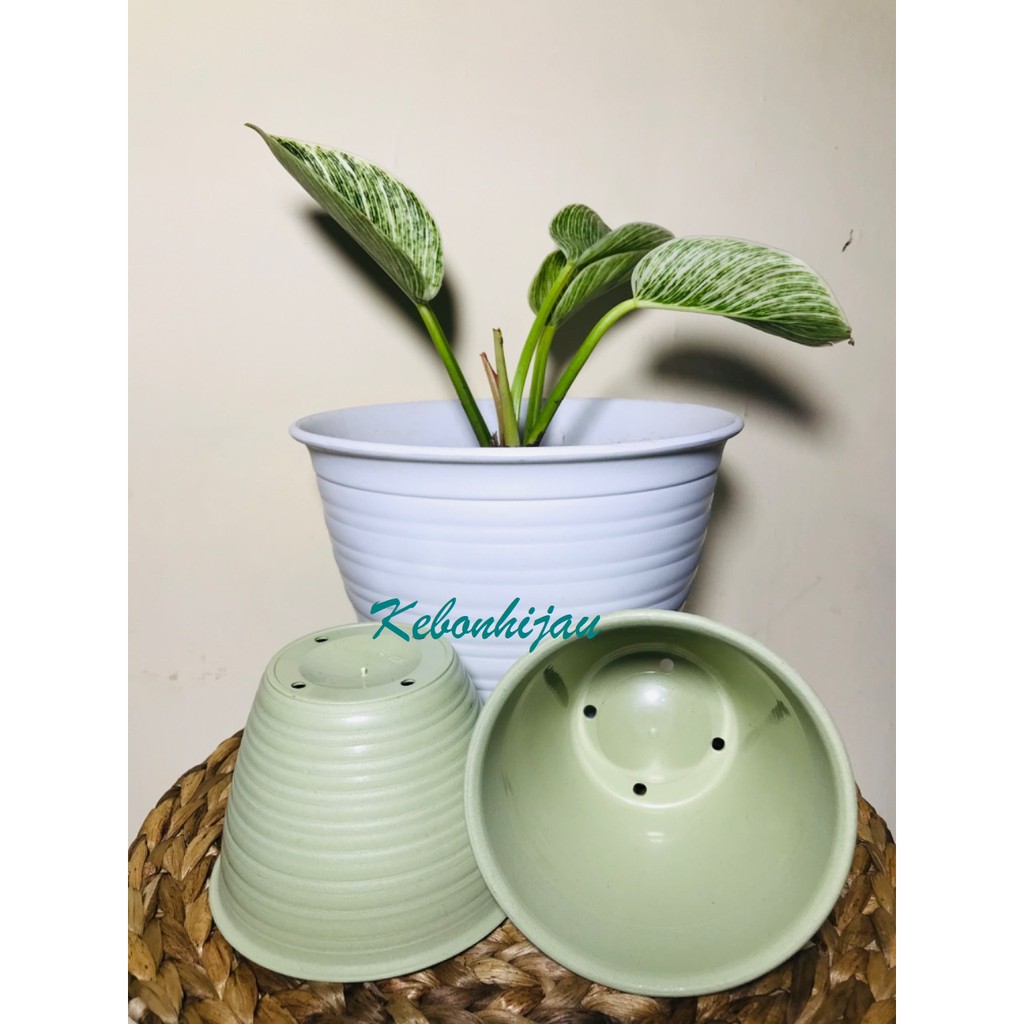 Jual Pot Tawon 10 cm Matcha / Pot Tawon Matcha 10 cm / Pot Bunga / Pot ...