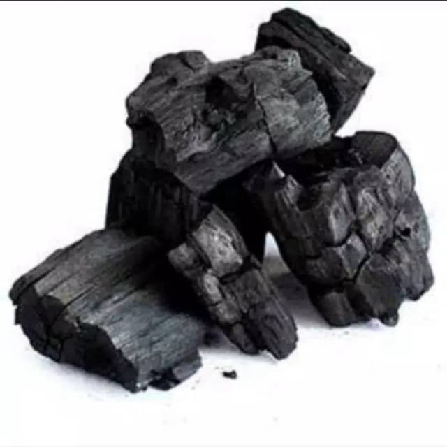 Jual Media Tanaman Arang Hitam Kayu Asam | Shopee Indonesia