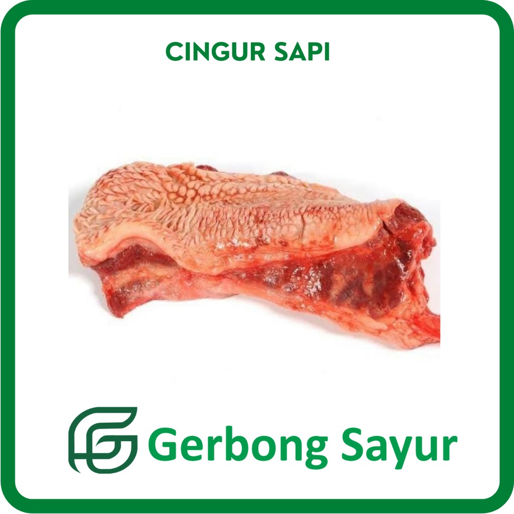Jual Cingur Sapi / Cecek Segar - 500g | Shopee Indonesia