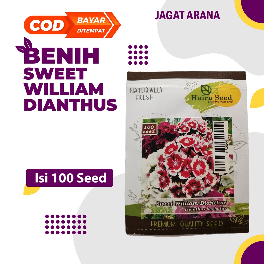 Jual Benih Bunga Sweet William Dianthus (Haira Seed) | Shopee Indonesia