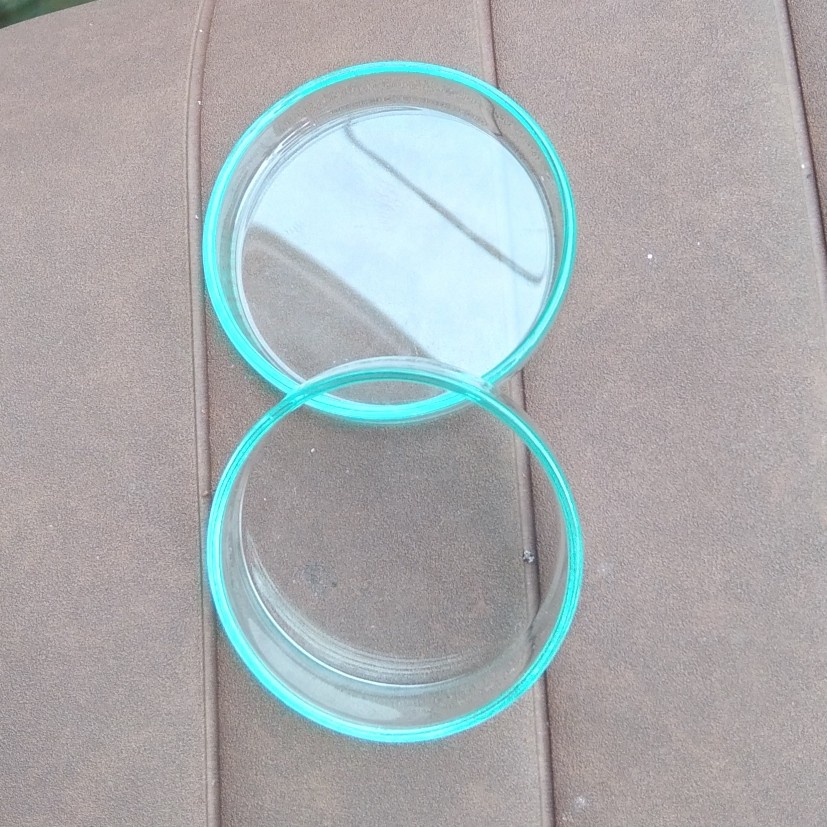 Jual Cawan Petri Kaca 60x15mm / Cawan Petridish Kaca 60 x 15mm 18 Pcs ...