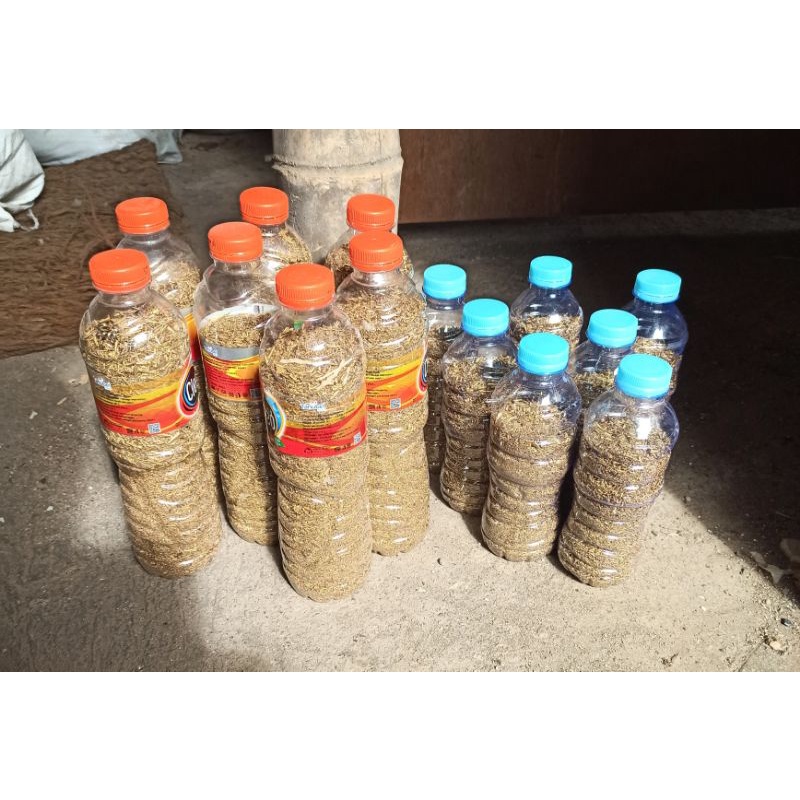 Jual Avalan Serutan serbuk KUNINGAN BRONZE bahan Orgonite | Shopee ...