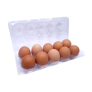Jual Telur Ayam (10 butir/pack) | Shopee Indonesia